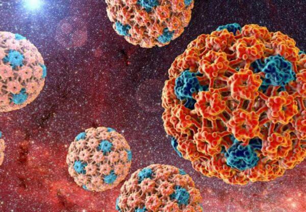 Вірус папіломи людини (ВПЛ, HPV) - Статті - Чернівецький обласний центр ...